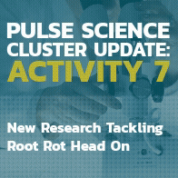 Pulse Science Cluster - Activity 7: New Research Tackling Root Rot Head ...